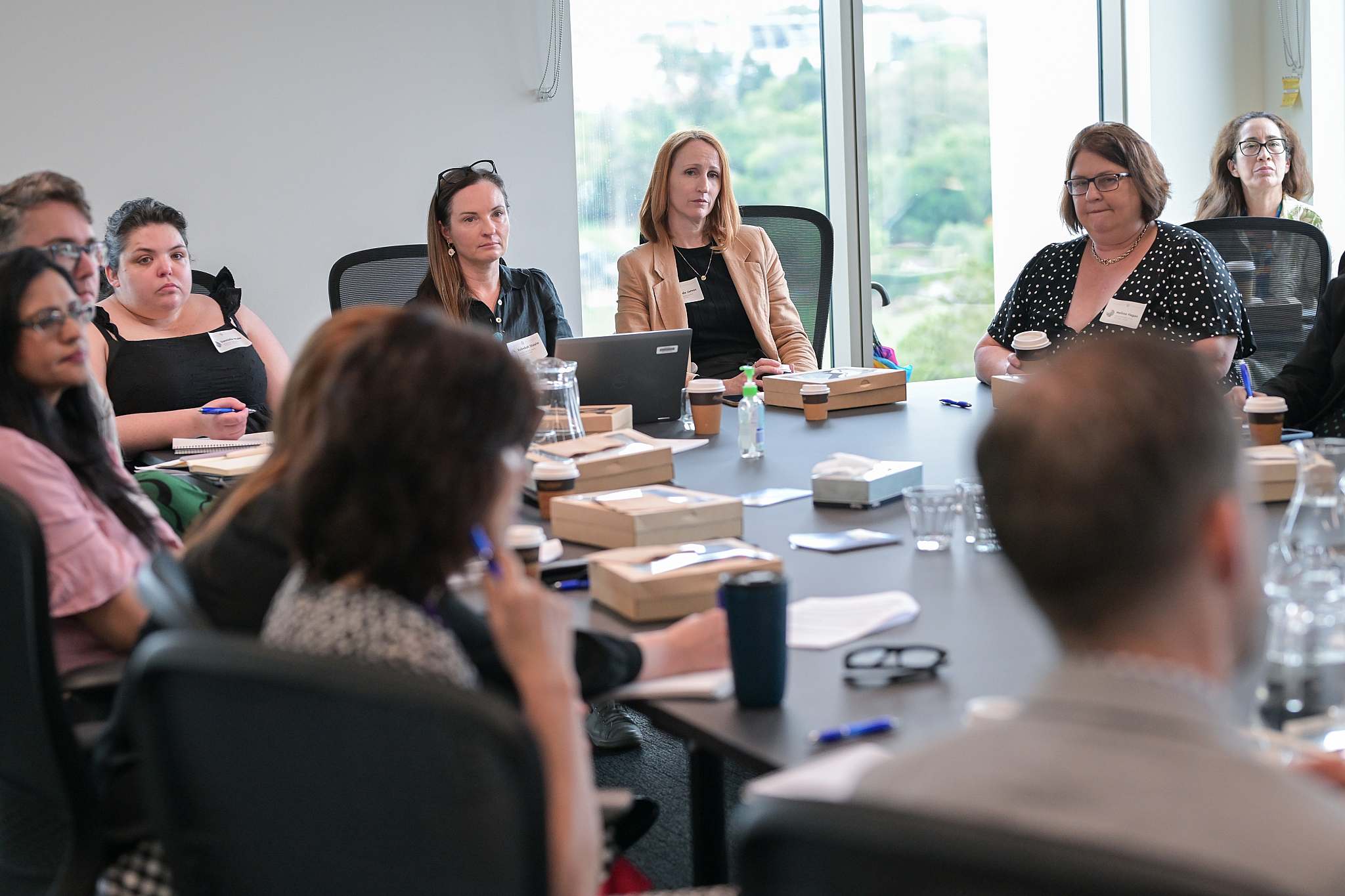 Health Translation Queensland | research, ethics, human, governance